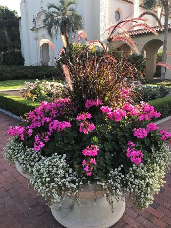 Getting Started with Containers - America In Bloom