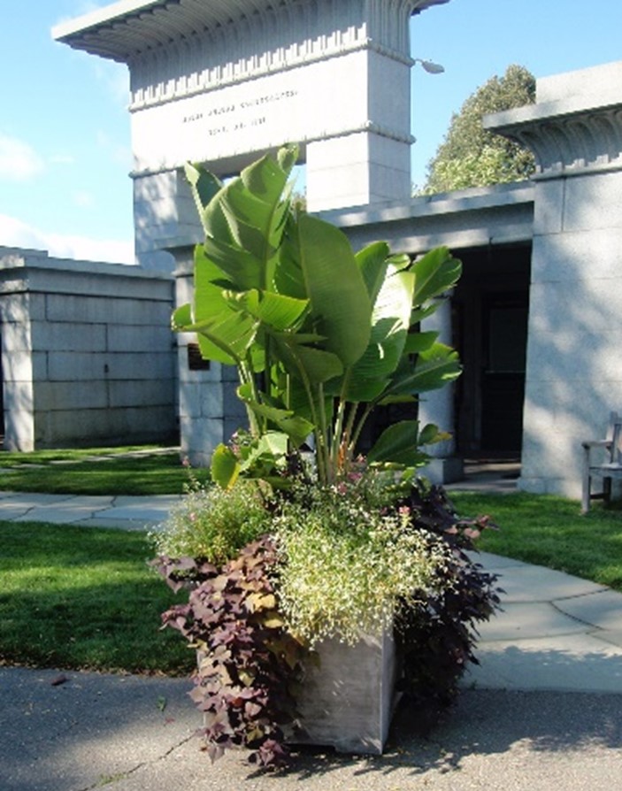 Getting Started with Containers - America In Bloom