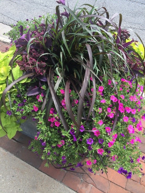 Getting Started with Containers - America In Bloom