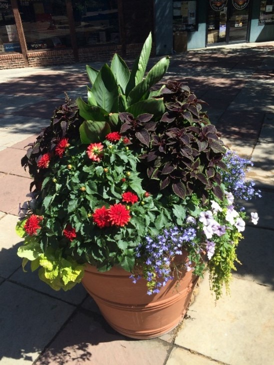 Getting Started with Containers - America In Bloom