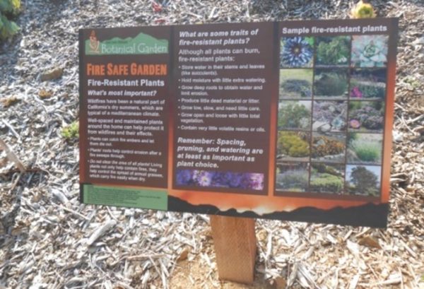 Develop a Demonstration Garden - America In Bloom