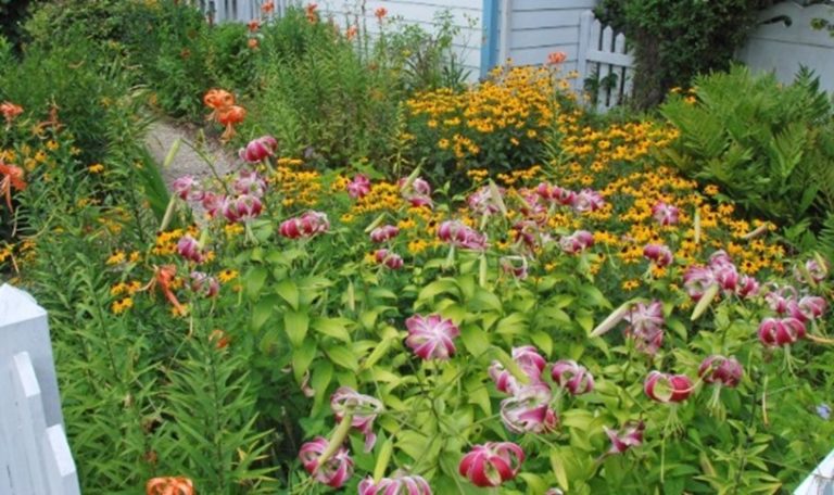 Build a Pollinator Demonstration Garden - America In Bloom