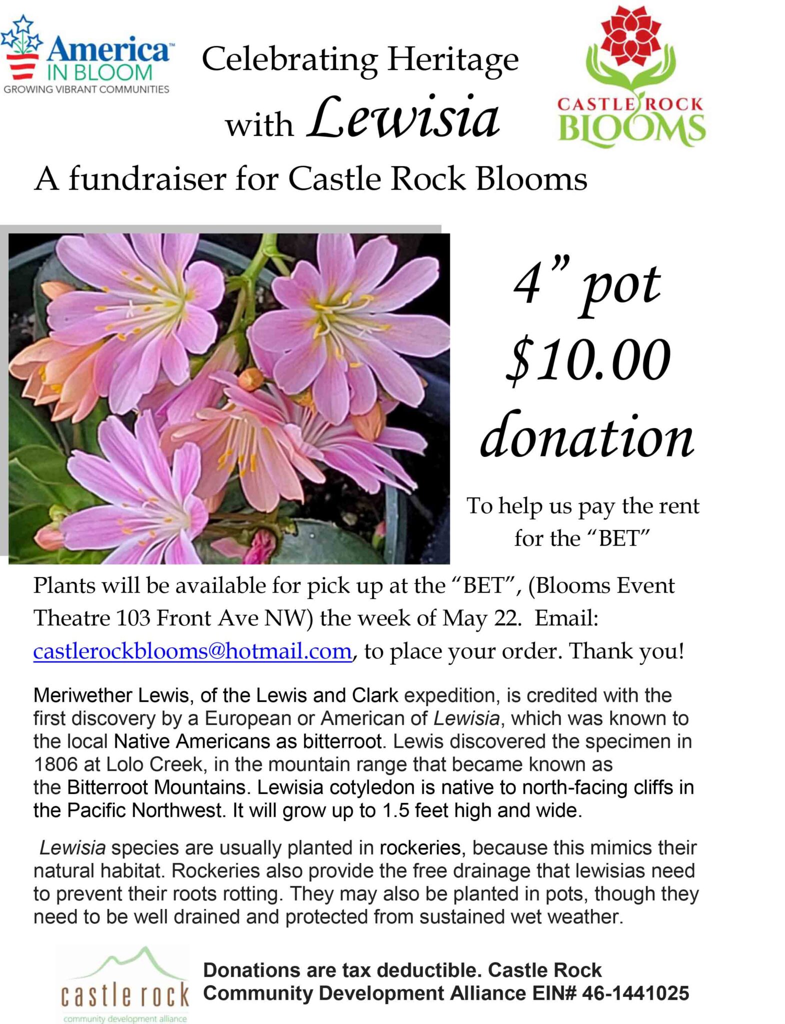 Fundraising Ideas for Your In Bloom Program - America In Bloom