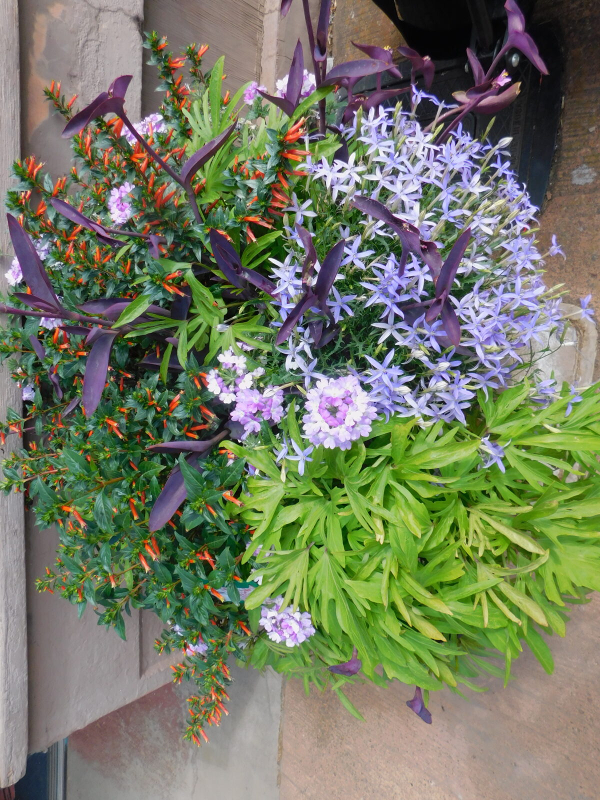 Fundraising Ideas for Your In Bloom Program - America In Bloom