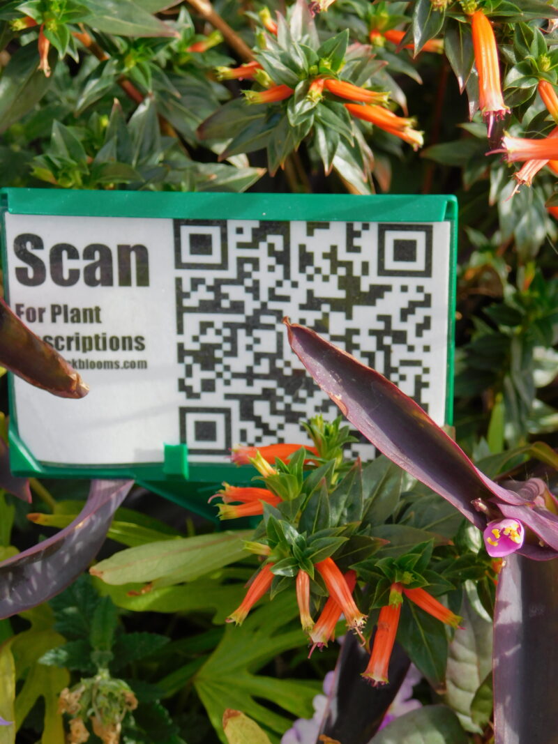 Resource Articles - America In Bloom