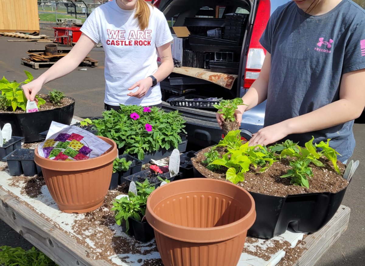 Resource Articles - America In Bloom